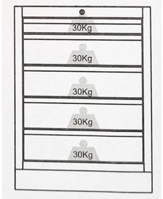 Dílenská skříňka Procarosa PROFI TGC-1305 - hluboká Barva: Šedá