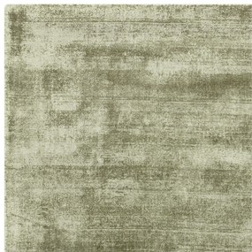 Zelený  koberec Ife Green Rozměry: 240x340 cm