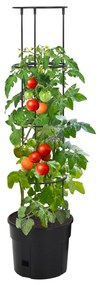 vidaXL Truhlík na pěstování rajčat antracit Ø 29,5x115 cm polypropylen