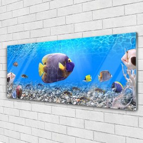 akrylový obraz Ryba Příroda 125x50 cm