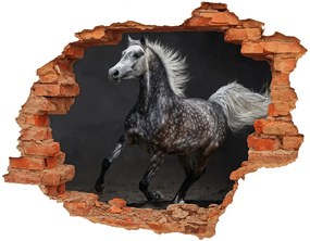 Wallmuralia Díra 3D fototapeta na stěnu Šedý arabský kůň 90x70 cm