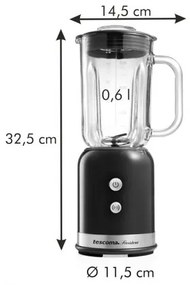 Tescoma Smoothie mixér PRESIDENT 0,6 l