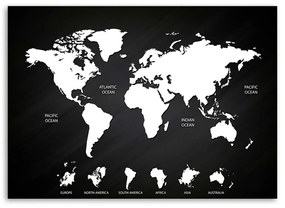 Gario Obraz na plátně Mapa světa a kontinenty Rozměry: 60 x 40 cm