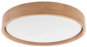 Brilagi | Brilagi - LED Stropní svítidlo MANAROLA SIMPLE LED/24W/230V 3000K | BG0487