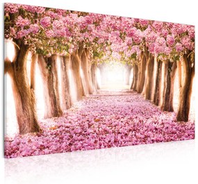 Obraz na plátně - kvetoucí stromy