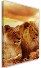 Obraz na plátně, Lvi Afrika Zvířata - 60x90 cm