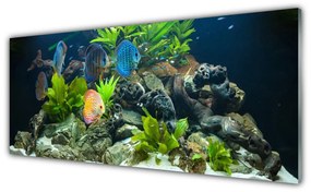 akrylový obraz Ryba Kameny Listy Příroda 125x50 cm