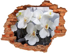 Wallmuralia Samolepící nálepka fototapeta Orchidej 90x70 cm