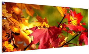 Obraz podzimních listů (100x40 cm)