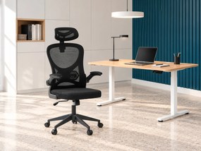 Ergonomická kancelářská židle ALEXANDRE - černá síťovina