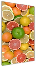 Wallmuralia Vertikální Fotoobraz na skle Citrusové ovoce 50x100