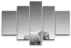 Sablio Obraz - 5-dílný Slon a zebra - 125x90 cm