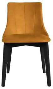 Jídelní židle STRAKOŠ DM61/N - černá, RIVIERA 41