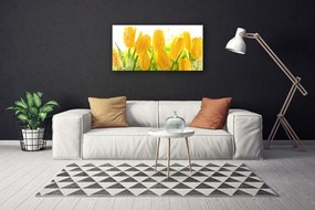 Obraz na plátně Tulipány Květiny Rostlina 100x50 cm