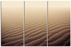 Obraz na plátně - Písek v poušti 1127B (90x60 cm  )