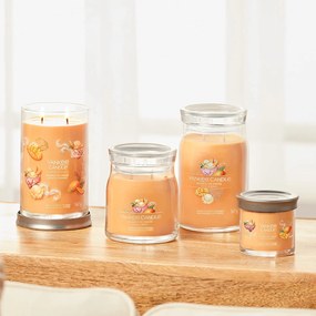 Yankee Candle vonná svíčka Signature Tumbler ve skle velká Mango Ice Cream 567g