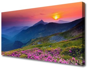 Obraz na plátně Hory Louka Květiny Krajina 140x70 cm