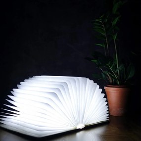 Světle hnědá velká LED stolní lampa ve tvaru knihy z javorového dřeva Gingko Booklight