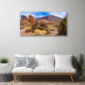 Obraz na plátně Hory Rostliny Skály Krajina 100x50 cm
