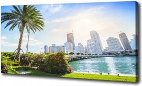 Fotoobraz canvas na zeď Miami Usa 100x50 cm