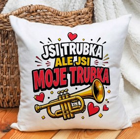 Ahome Ahome CZ Polštář Jsi moje trubka 37 x 37 cm