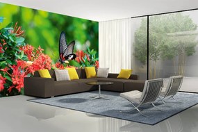 DIMEX | Samolepicí vliesová fototapeta na zeď Motýl na květině MA-5-0464 | 375 x 250 cm | zelená, červená, černá