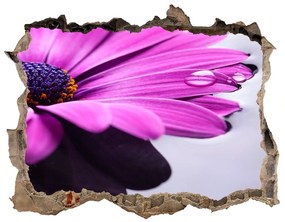 Wallmuralia Samolepící nálepka fototapeta Gerbera 95x64 cm