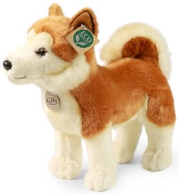 Rappa Plyšový pes akita inu 30 cm ECO-FRIENDLY