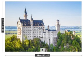 Fototapeta Neuschwanstein 104x70