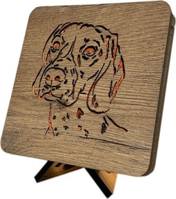 Li-Go "Dalmatin" lampa 19x19 cm provedení povrchu: dub světlý
