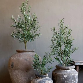 Dekorace umělý stromek olivovník s olivami Olea Tree - 15*170 cm