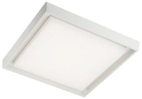 Redo 9189 BEZEL stropní svítidlo LED 30W 2550lm IP54 Venkovní stropní svítidla