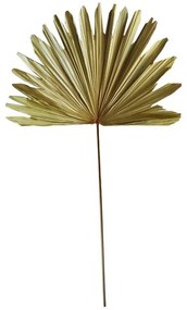 Hnědý usušený dekorativní list Palmy - 96 cm