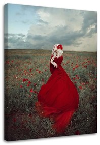 Gario Obraz na plátně Gotická dáma v červených šatech - Maryna Khomenko Rozměry: 40 x 60 cm