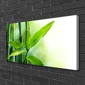 Obraz na plátně Bambus List Rostlina Příroda 100x50 cm