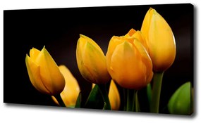 Wallmuralia Foto obraz na plátně Žluté tulipány 100x50