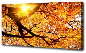 Wallmuralia Moderní obraz canvas na rámu Koruna stromů podzim 100x50