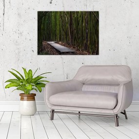 Skleněný obraz - Mezi bambusy (70x50 cm)