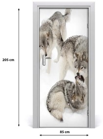Samolepící fototapeta na dveře Šedí vlci 85x205 cm