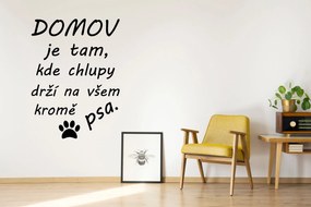 Lepy.cz Samolepka na zeď Kde je pes Velikost (šířka x výška): 30x40cm, Barevná varianta: Černá