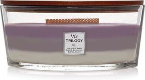 WoodWick vonná svíčka s dřevěným knotem Elipsa Trilogy Amethyst Sky 453,6 g