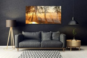 akrylový obraz Stromy Příroda 120x60 cm