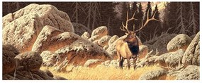 Obraz jelena (100x40 cm), 40 dalších rozměrů