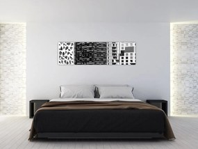 Obraz černobílé architektury (170x50 cm)