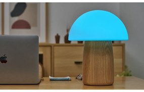 Stmívatelná stolní lampa v přírodní barvě se skleněným stínidlem (výška 32 cm) Alice – Gingko