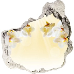Wallmuralia Samolepící díra na stěnu nálepka Orchidej 75x75 cm