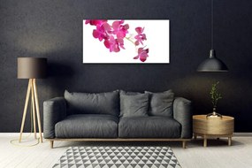 Obraz na skle Květiny Rostlina Příroda 125x50 cm
