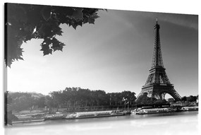 Obraz podzimní Paříž v černobílém provedení Varianta: 120x80