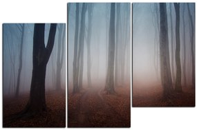 Obraz na plátně - Mlha v lese 1182D (120x80 cm)