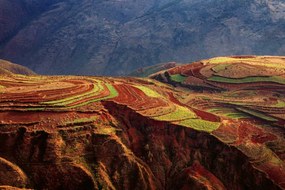 DIMEX | Samolepicí vliesová fototapeta na zeď Barevná terasovitá pole MA-5-1651 | 375 x 250 cm | zelená, červená, oranžová, hnědá
